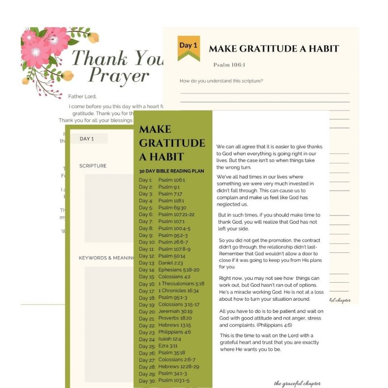 Make Gratitude A Habit - Free 30 Day Thanksgiving Bible Study Toolkit ...