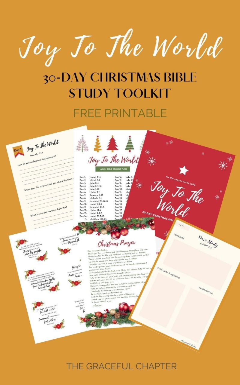 Joy To The World - Free 30 Day Christmas Bible Study Toolkit - The ...