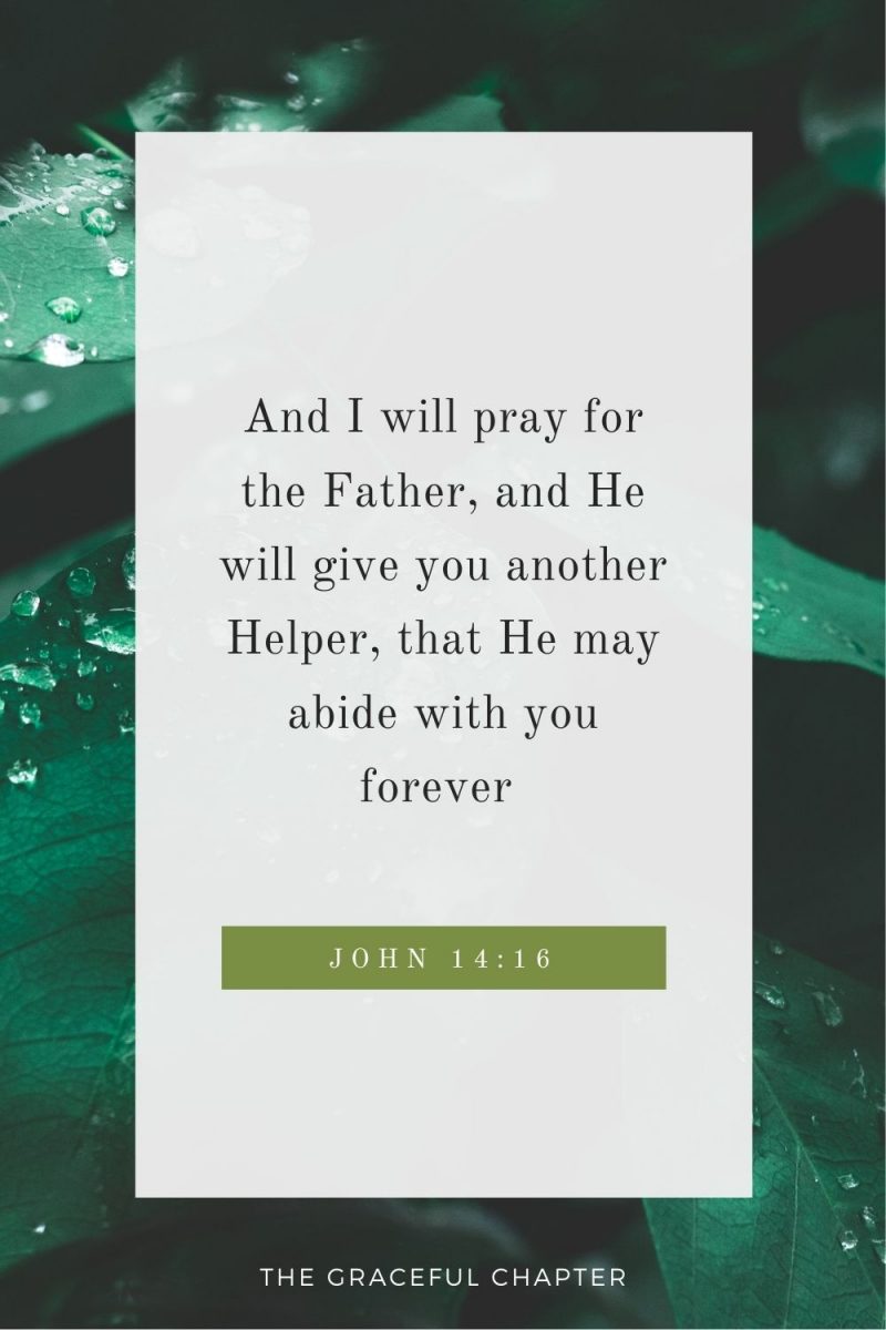 41 Bible Verses About Help From God - The Graceful Chapter