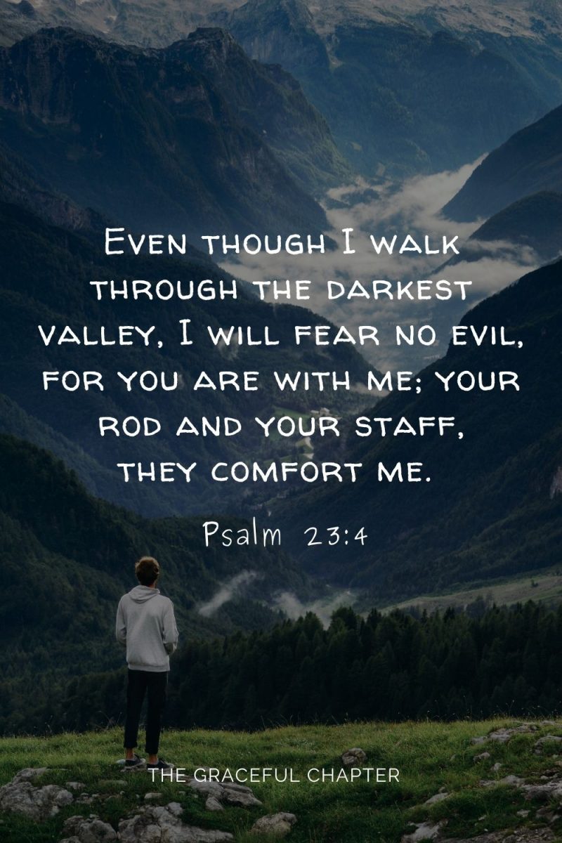 37 Bible Verses For Overcoming Fear - The Graceful Chapter