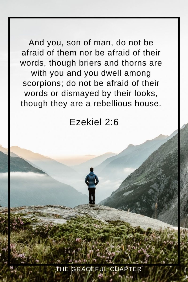 39 Bible Verses About Courage - The Graceful Chapter