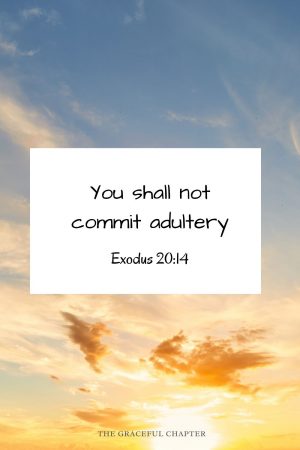 38 Bible Verses About Adultery - The Graceful Chapter