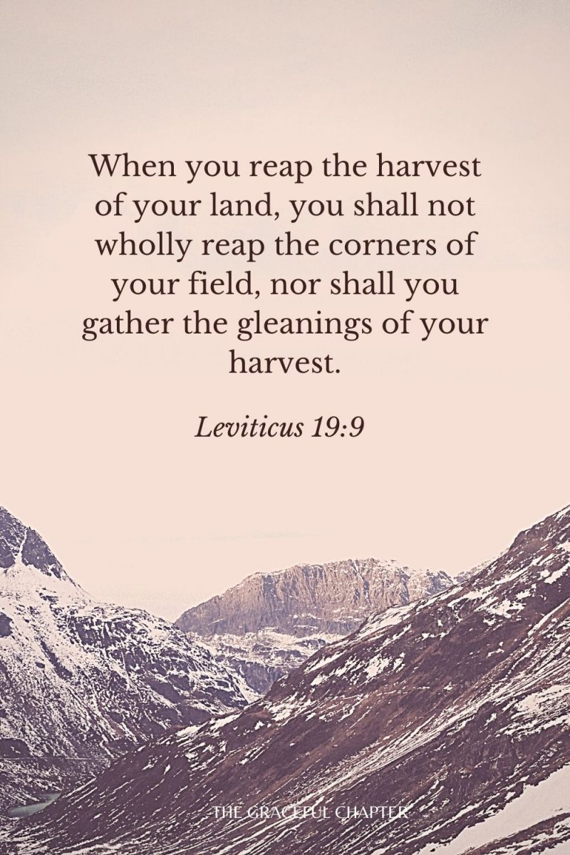40 Bible Verses About Harvest - The Graceful Chapter