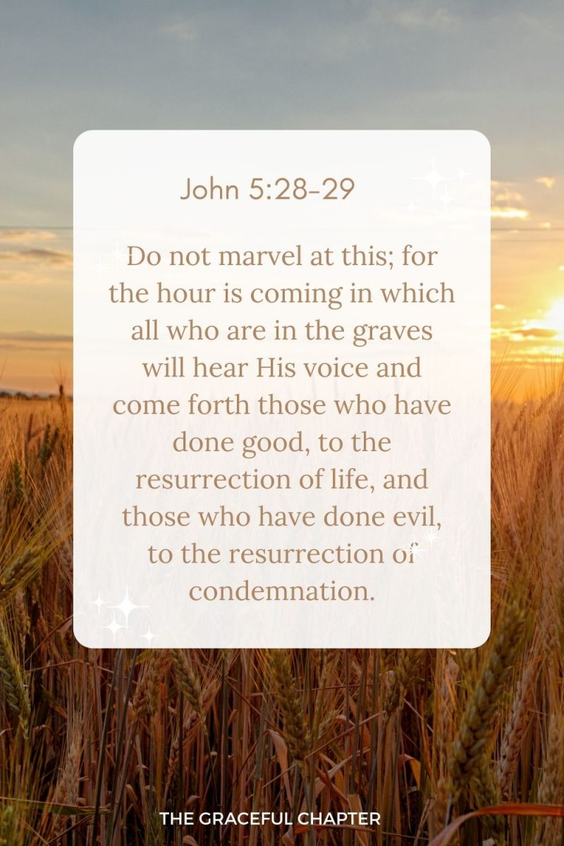 47 Bible Verses About Eternal Life - The Graceful Chapter