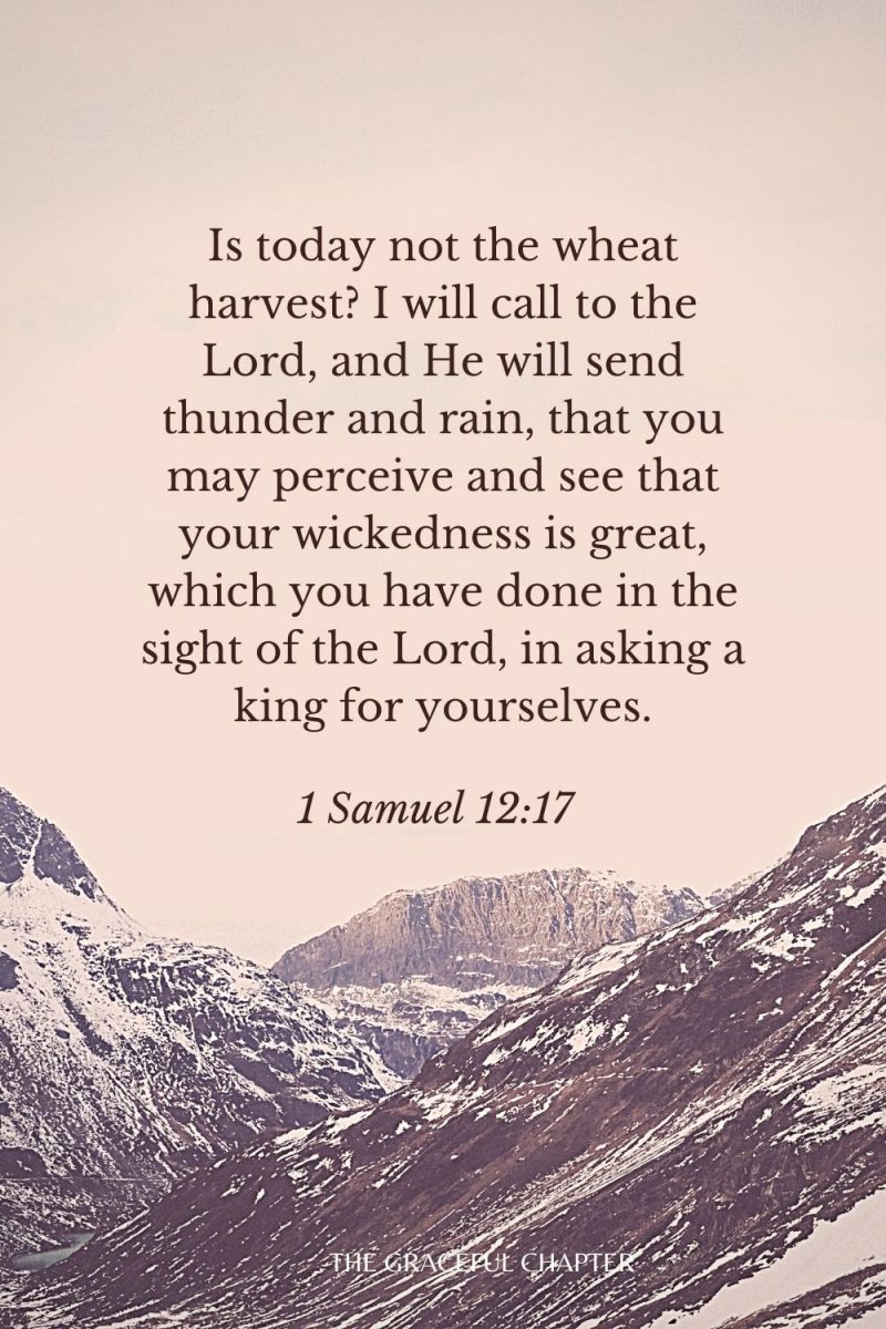 40 Bible Verses About Harvest - The Graceful Chapter