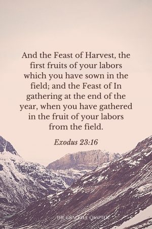 40 Bible Verses About Harvest - The Graceful Chapter