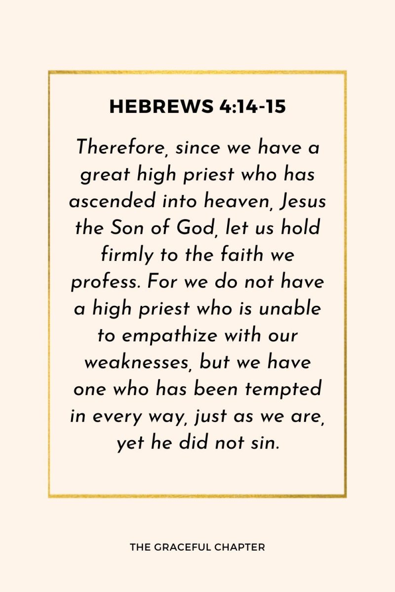 Reflection - Hebrews 4:14-15 - Christ Endured for Us - The Graceful Chapter