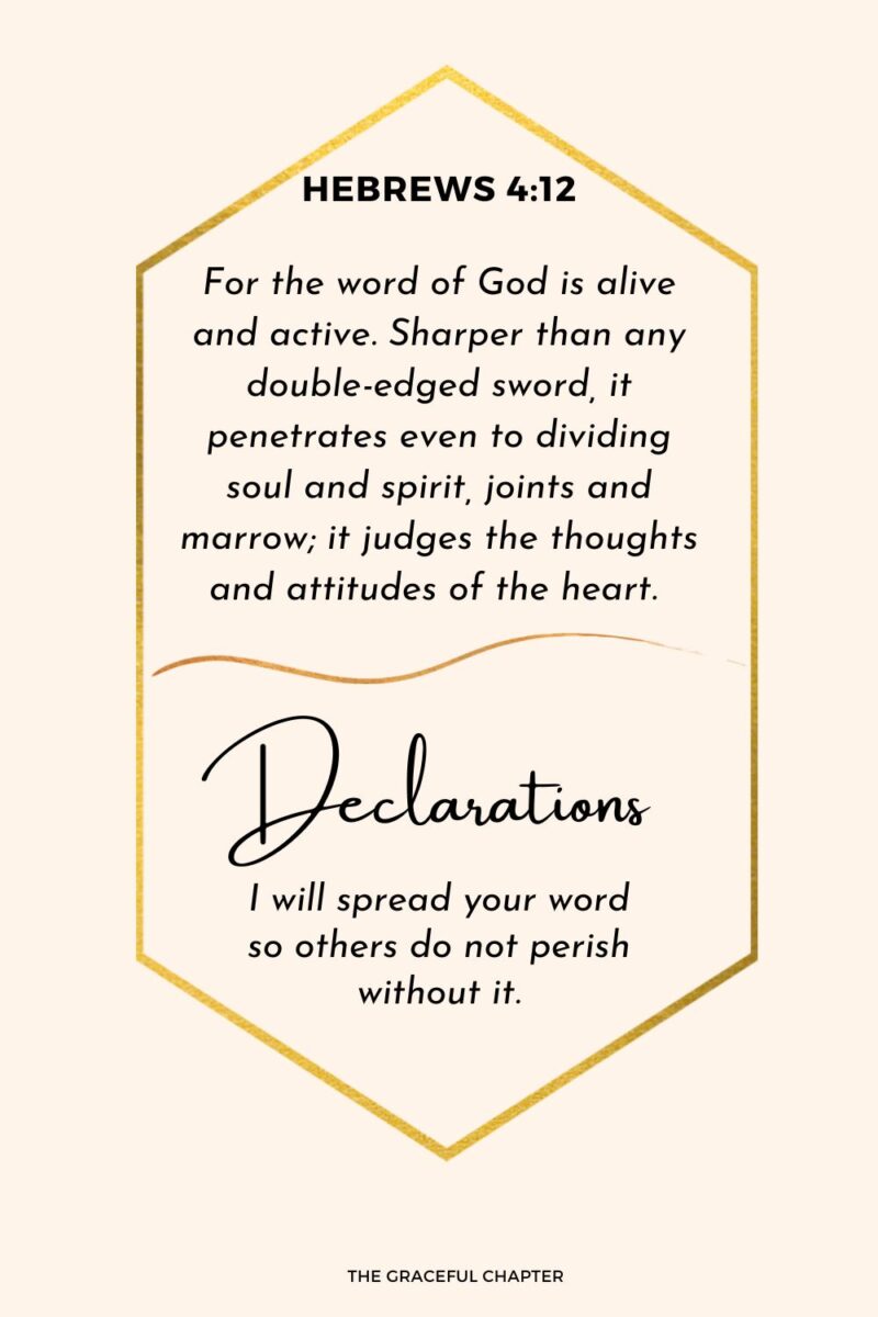 Reflection – Hebrews 4:12-13 – God’s Powerful Seed - The Graceful Chapter