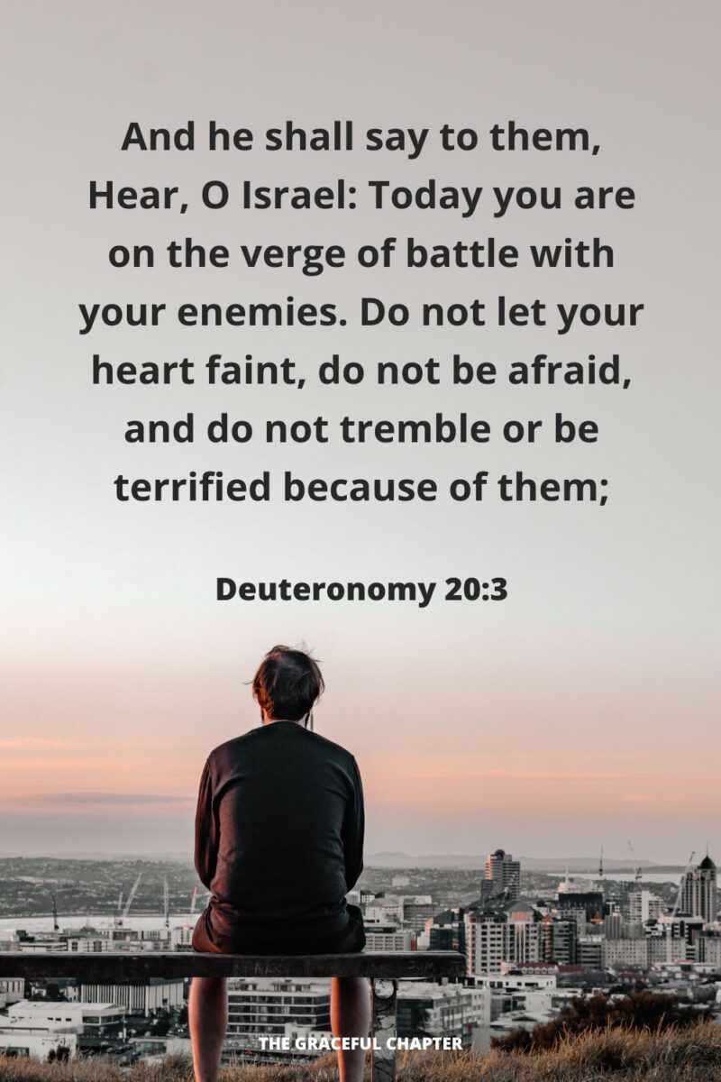 39 Do Not Be Afraid Verses In The Bible - The Graceful Chapter