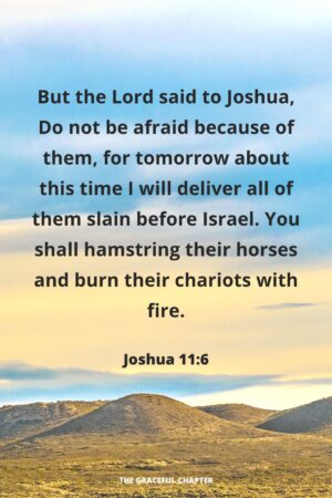 39 Do Not Be Afraid Verses In The Bible - The Graceful Chapter