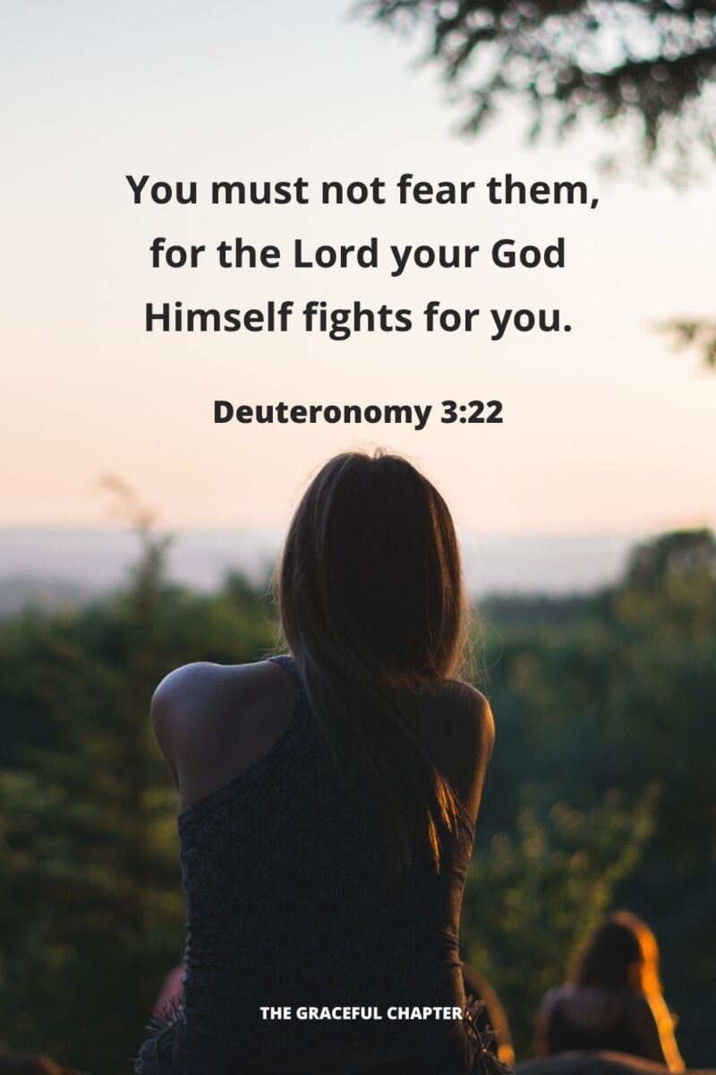 39 Do Not Be Afraid Verses In The Bible - The Graceful Chapter