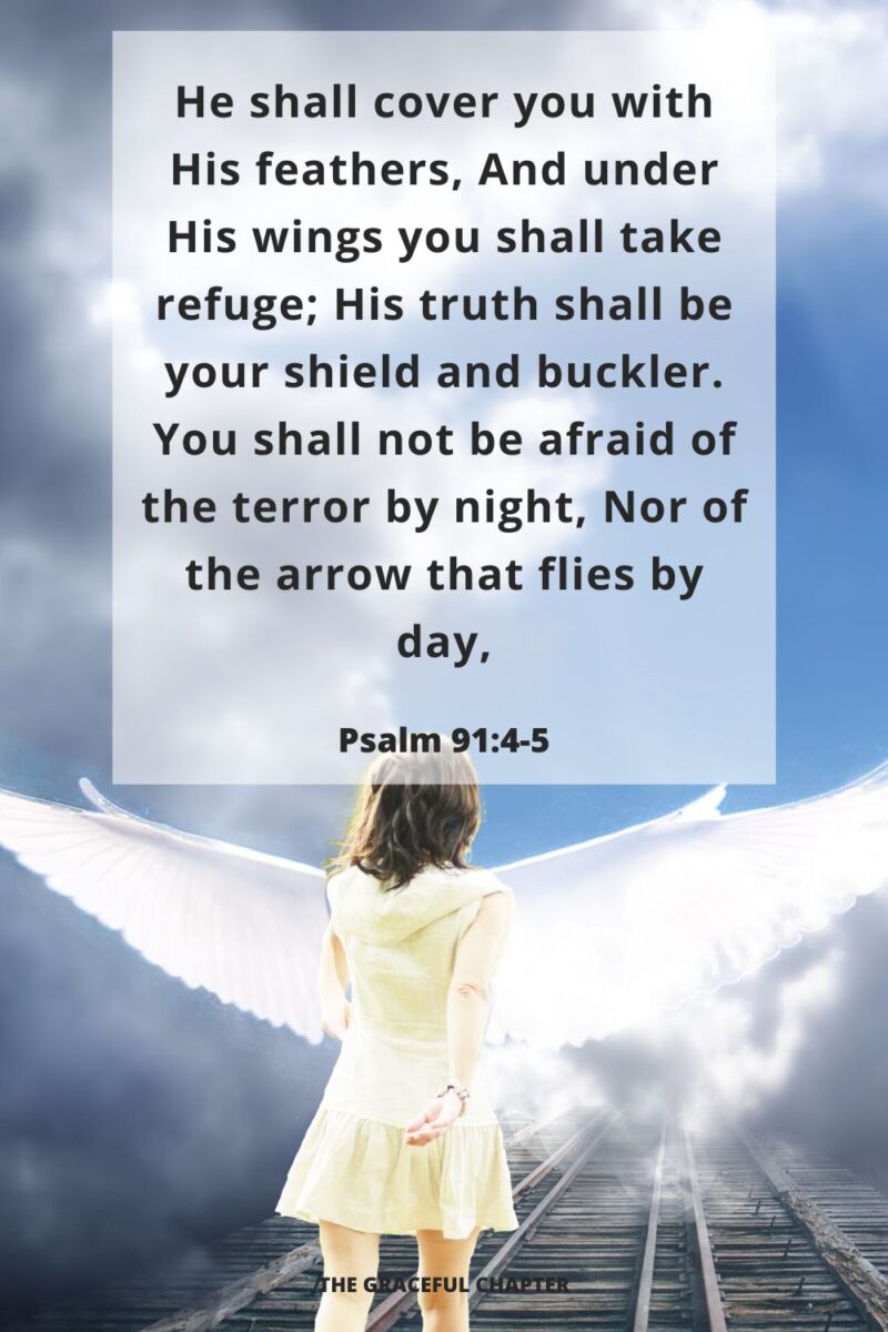 39 Do Not Be Afraid Verses In The Bible - The Graceful Chapter