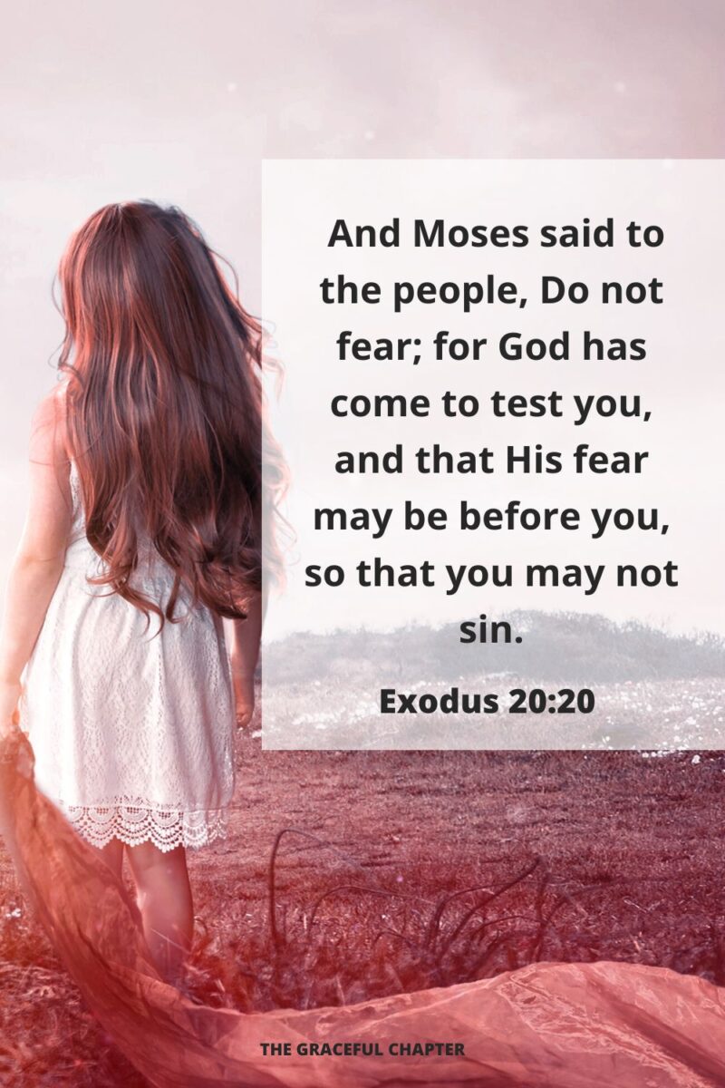 39 Do Not Be Afraid Verses In The Bible - The Graceful Chapter