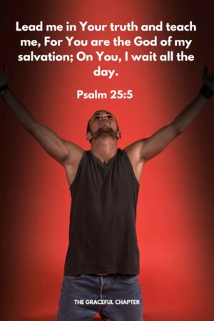 33 Insightful Bible Verses About Learning - The Graceful Chapter