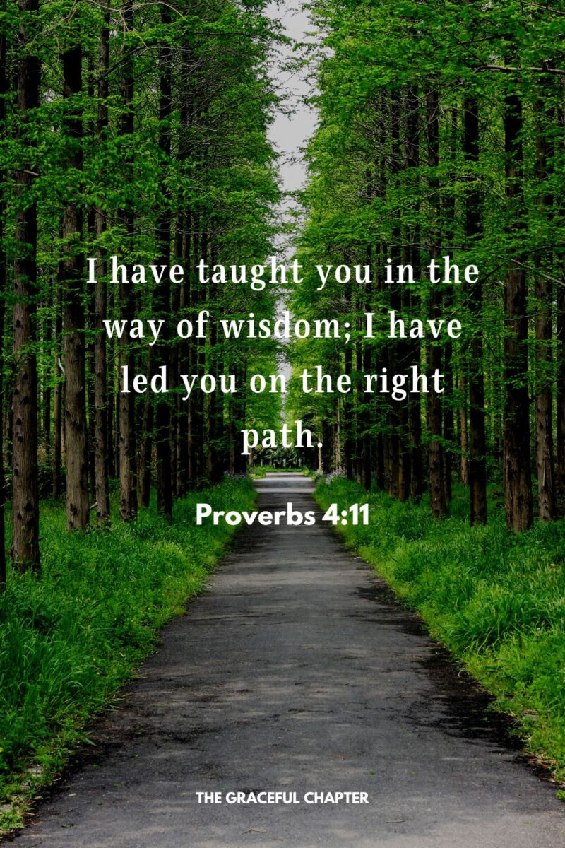 33 Insightful Bible Verses About Learning - The Graceful Chapter