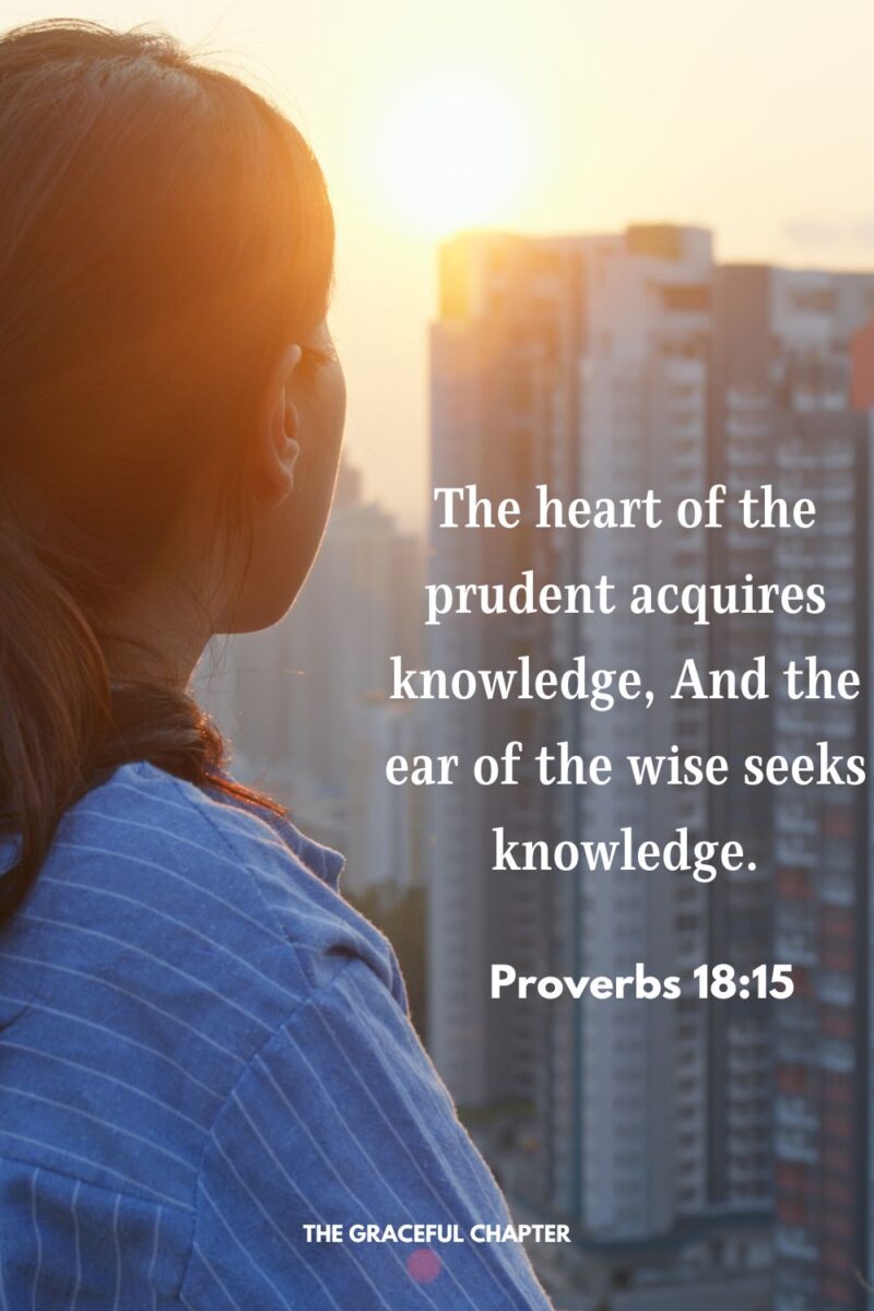 33 Insightful Bible Verses About Learning - The Graceful Chapter