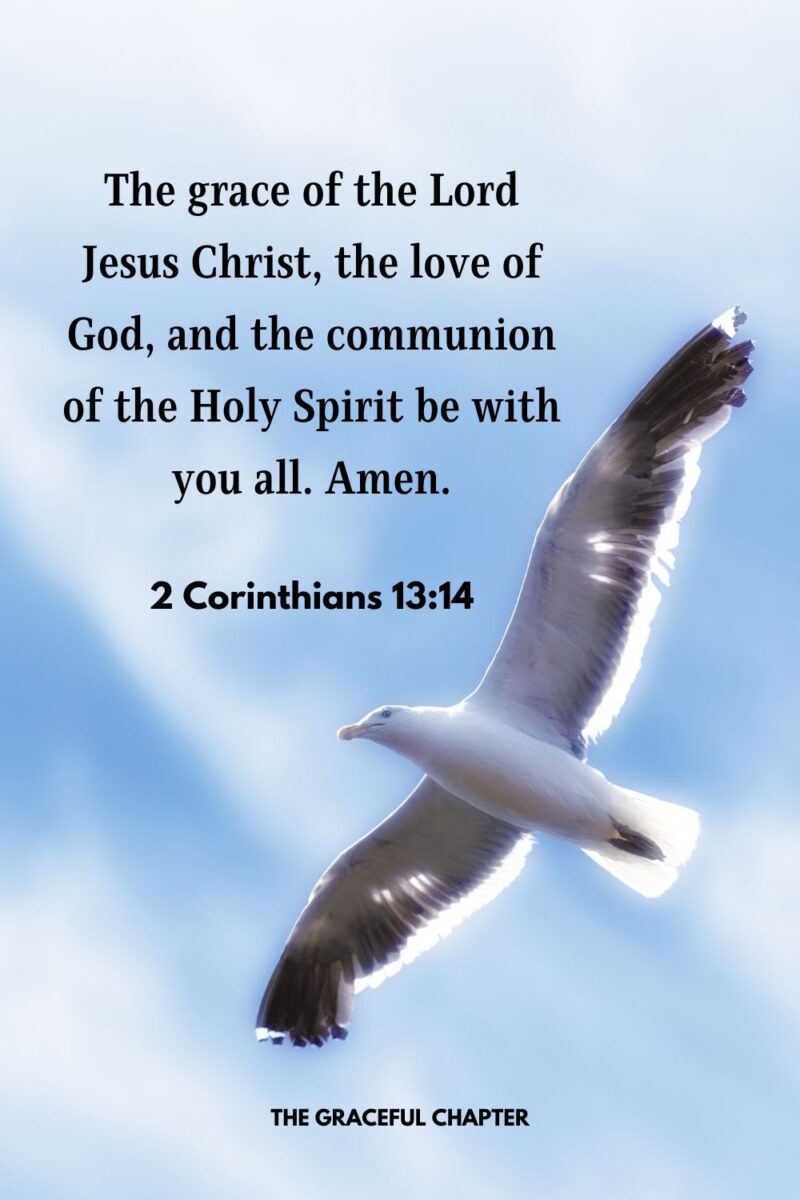 39 Bible Verses About The Holy Spirit - The Graceful Chapter