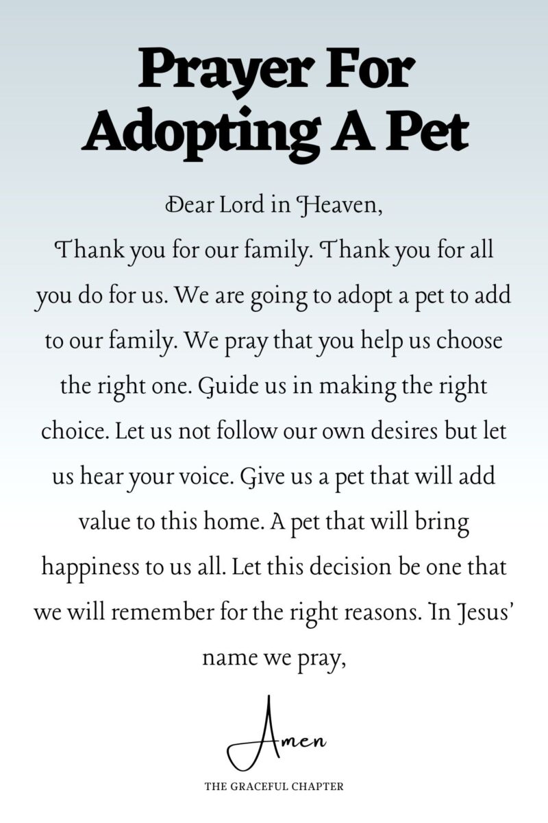 8 Beautiful Prayers For Pets - The Graceful Chapter