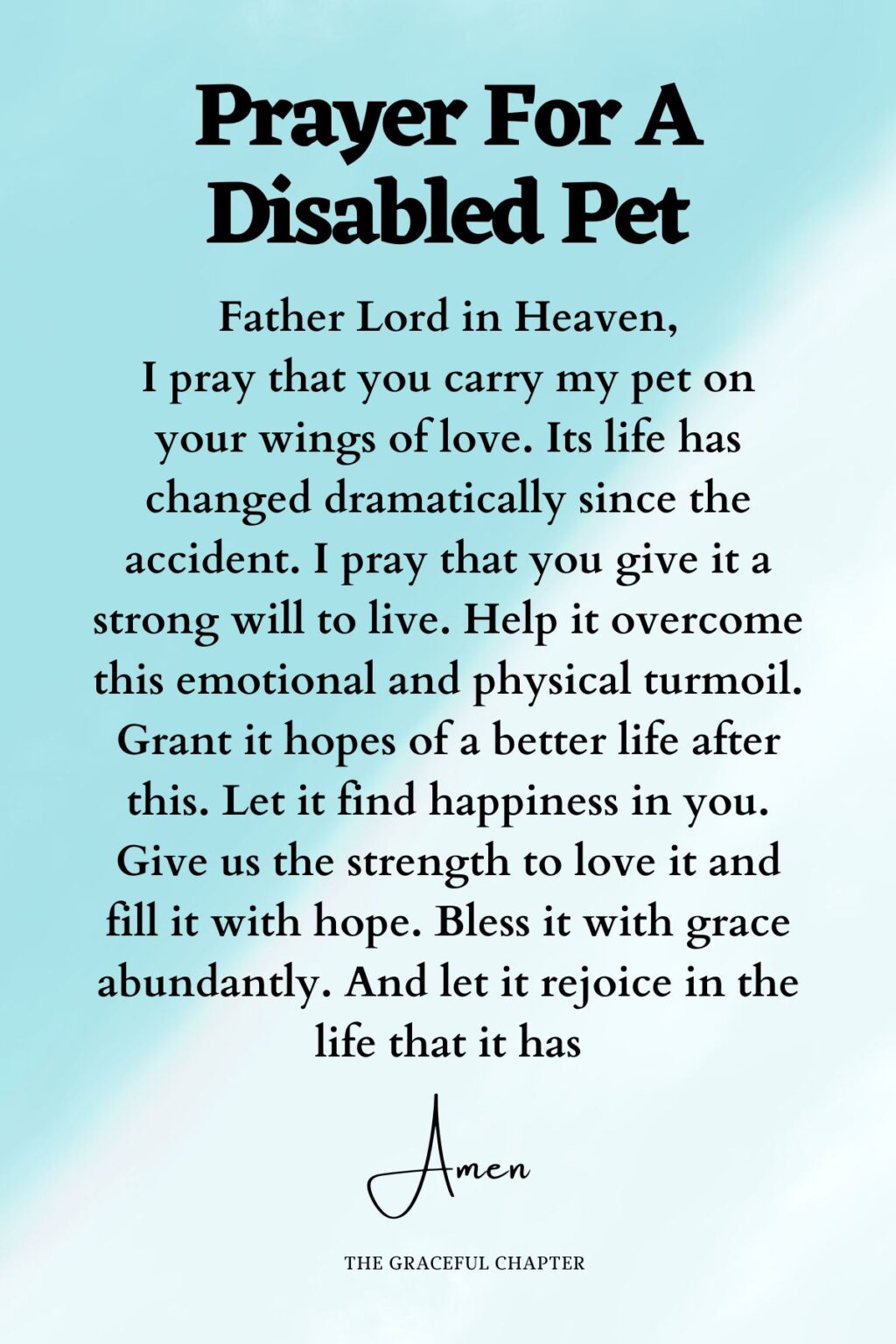8 Beautiful Prayers For Pets - The Graceful Chapter