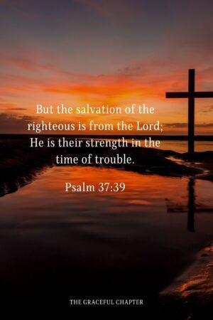 42 Best Salvation Bible Verses - The Graceful Chapter