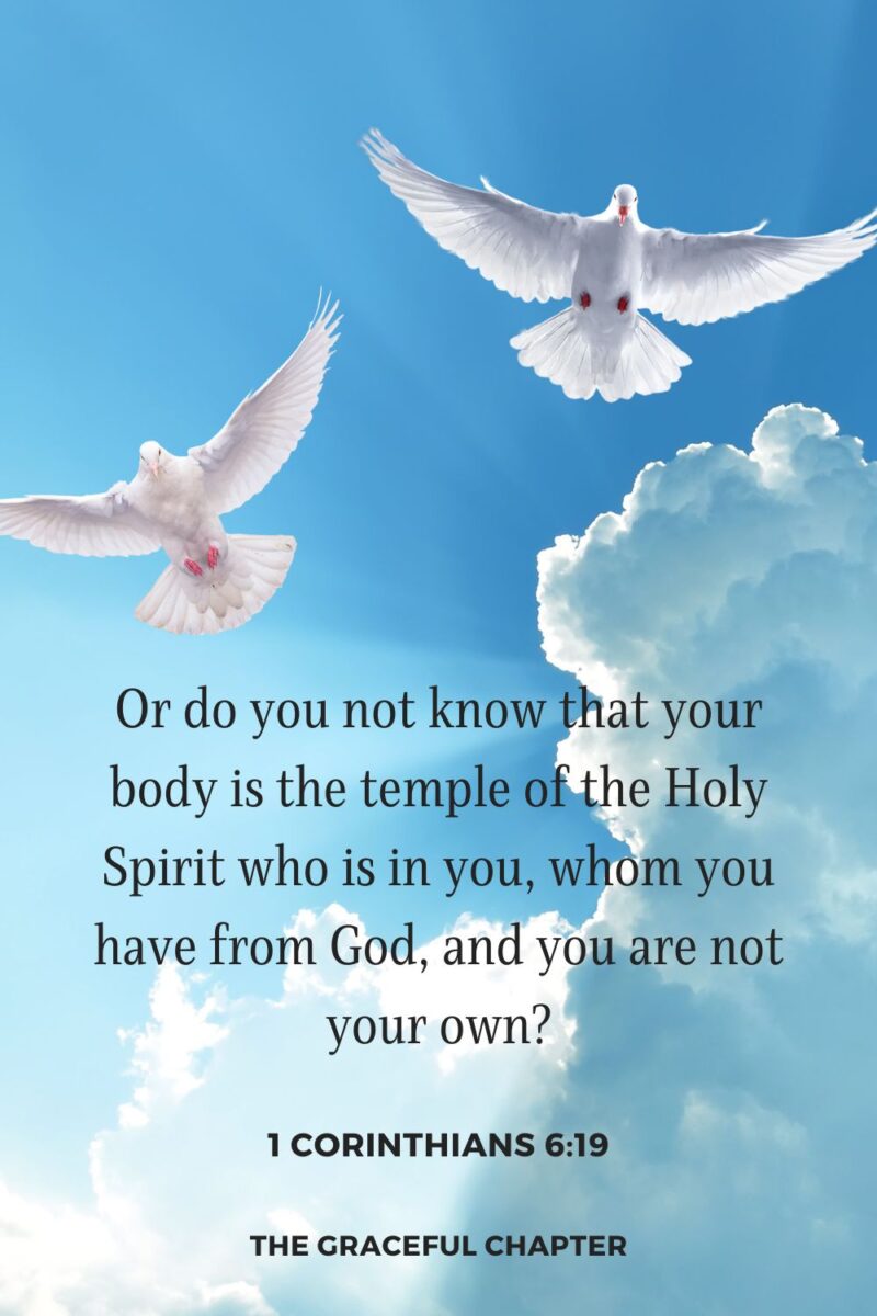 39 Bible Verses About Modesty - The Graceful Chapter