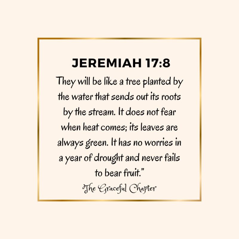 Bible Reflection - Jeremiah 17:8 - Trust In God - The Graceful Chapter