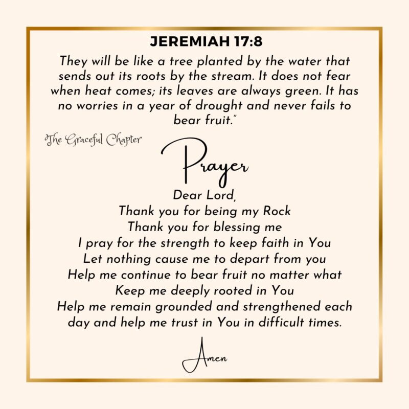 Bible Reflection - Jeremiah 17:8 - Trust In God - The Graceful Chapter